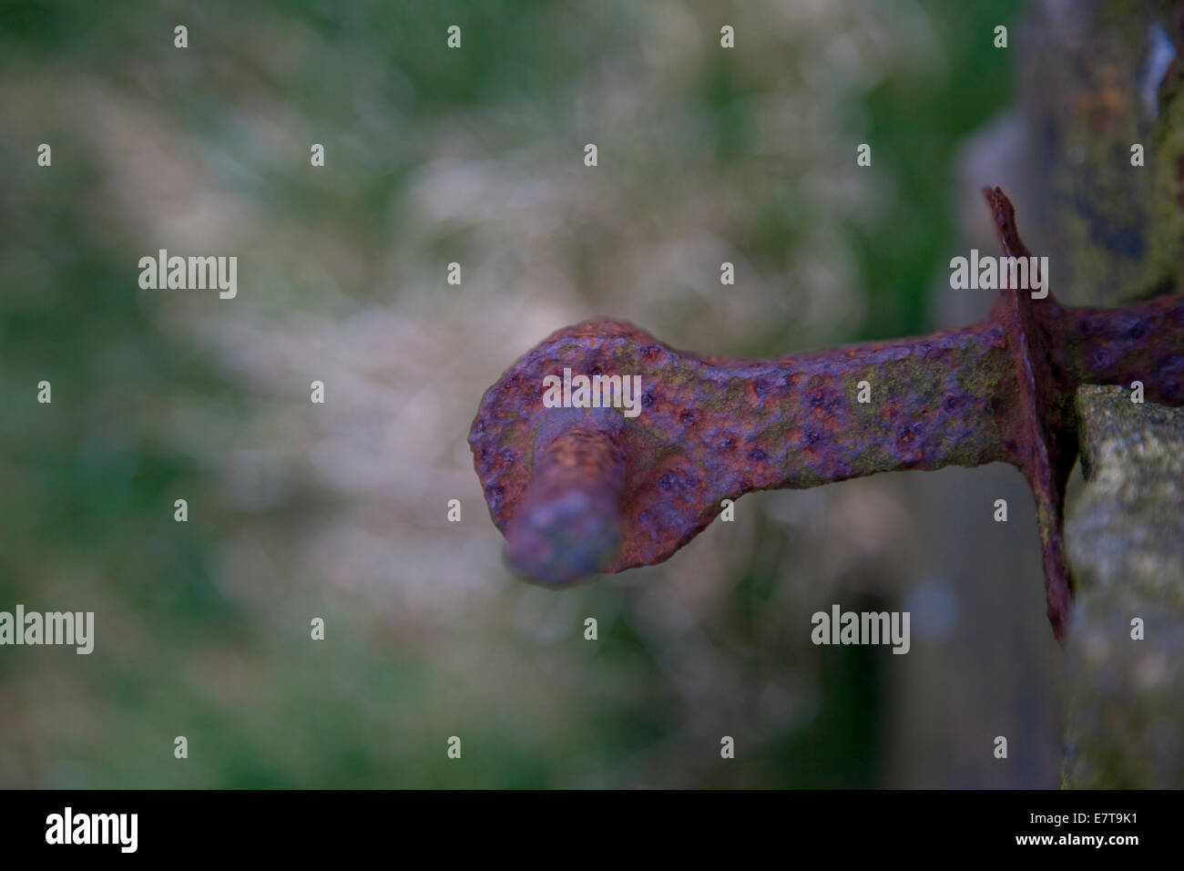Old gate rust stone wall in UK Britain England hand made built Stock ...