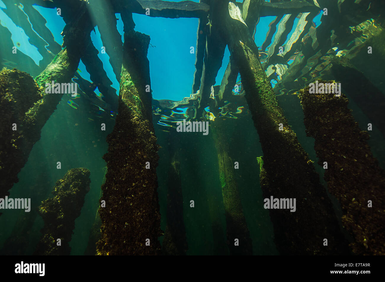 Underwater bridge hi-res stock photography and images - Alamy