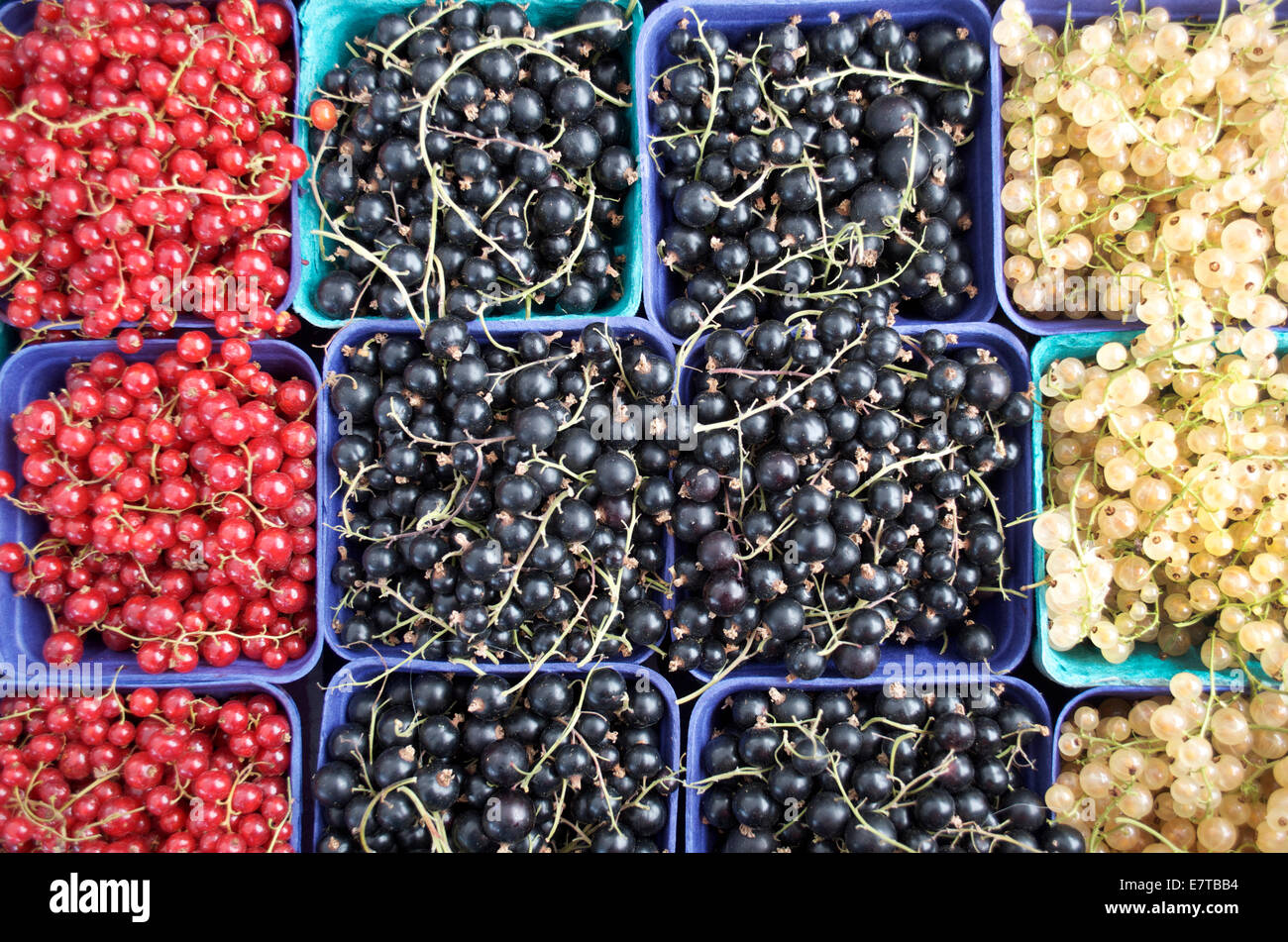 White currents hi-res stock photography and images - Alamy