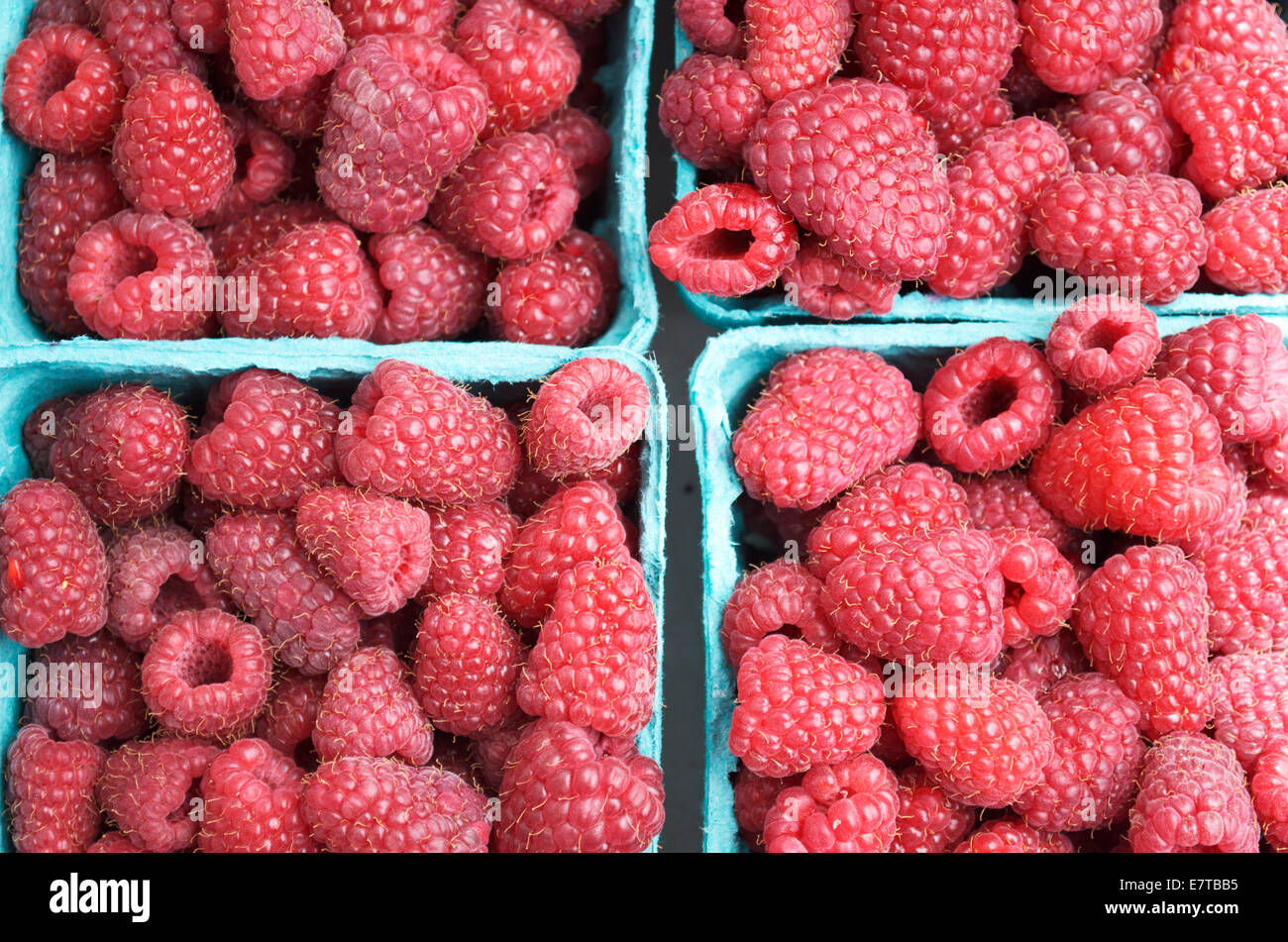 Four raspberries hi-res stock photography and images - Alamy