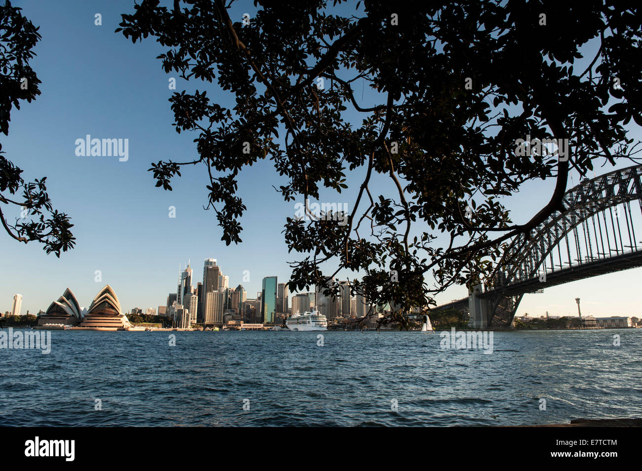 Sydney Harbour Bridge with trees and harbour and a person Stock Photo ...