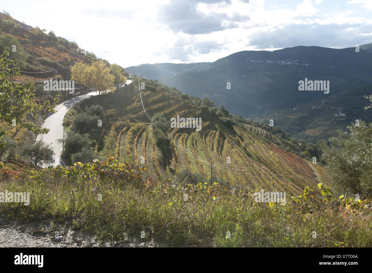 Douro Valley in Sabrosa, Portugal Stock Photo - Alamy