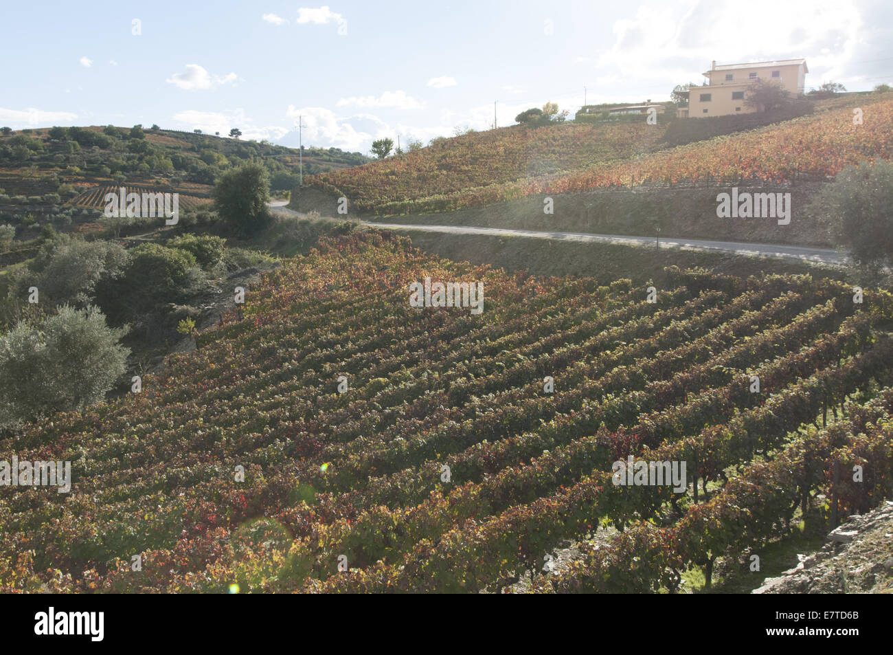 Douro doc hi-res stock photography and images - Alamy