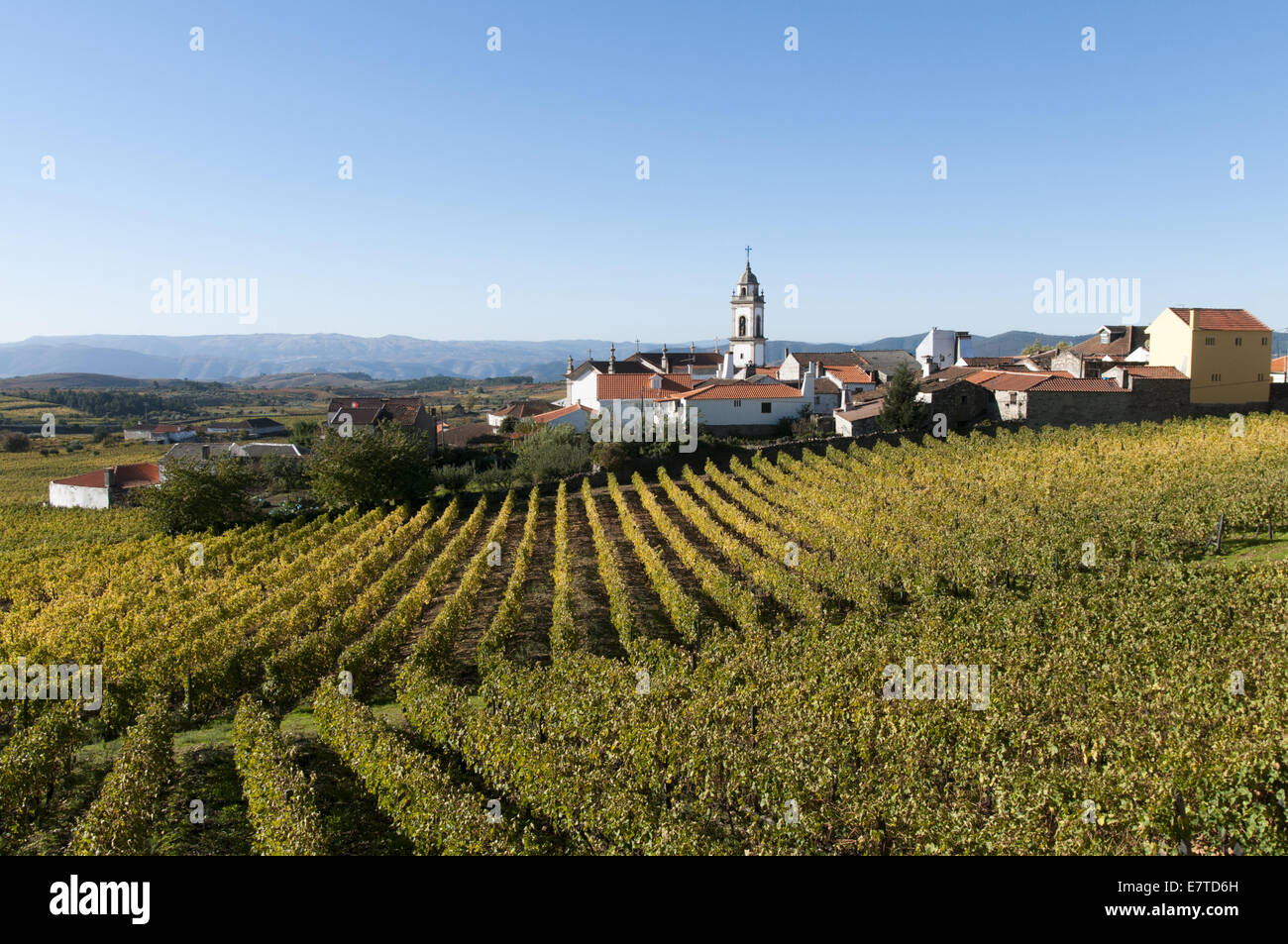 vineyards in the Douro region, Favaios, Portugal Stock Photo - Alamy