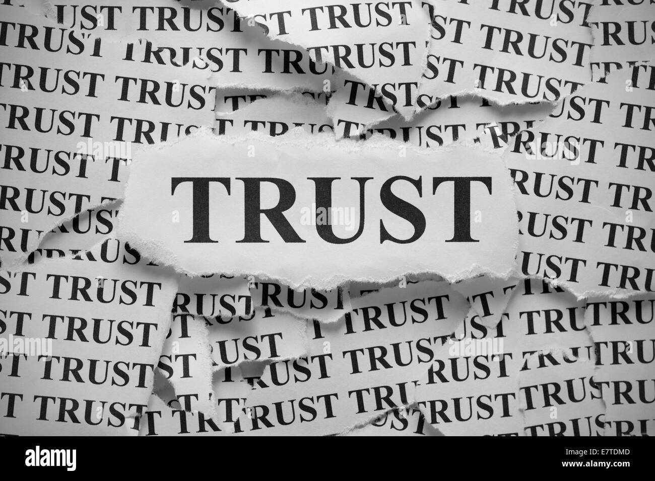 The Word Trust