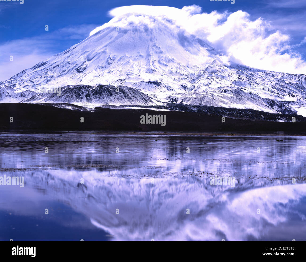 Parinacota volcano with reflections in the lake Lago Chungara, Lauca ...