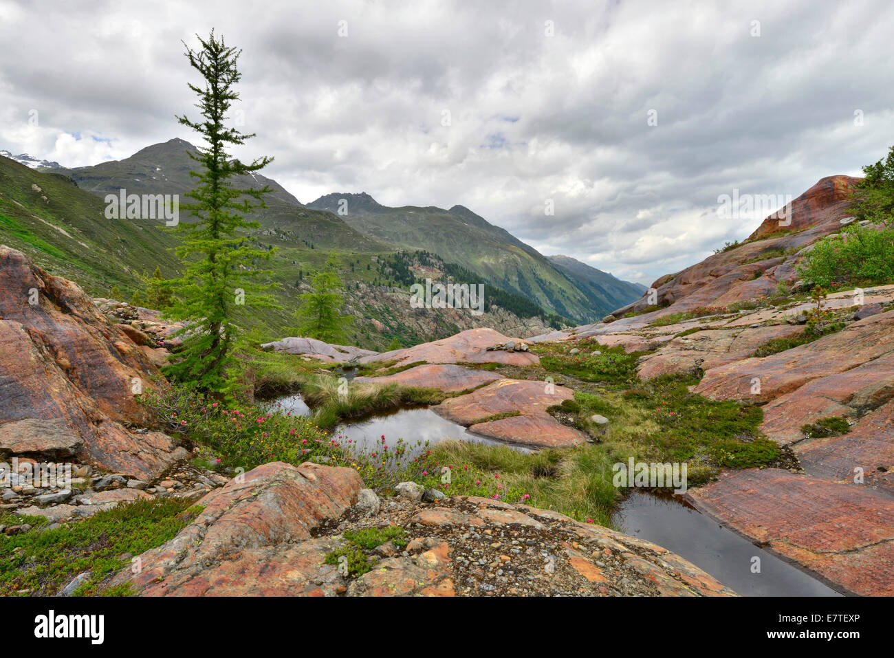 Glacial fluting at Mt Gepatschferner, at the back Mt Ochsenkopf and the ...