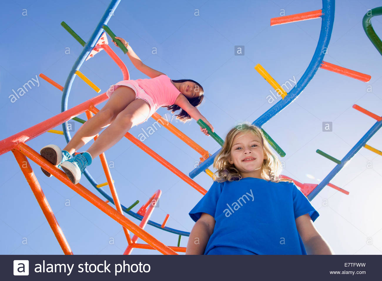 Monkey Standing Up Stock Photos & Monkey Standing Up Stock Images - Alamy