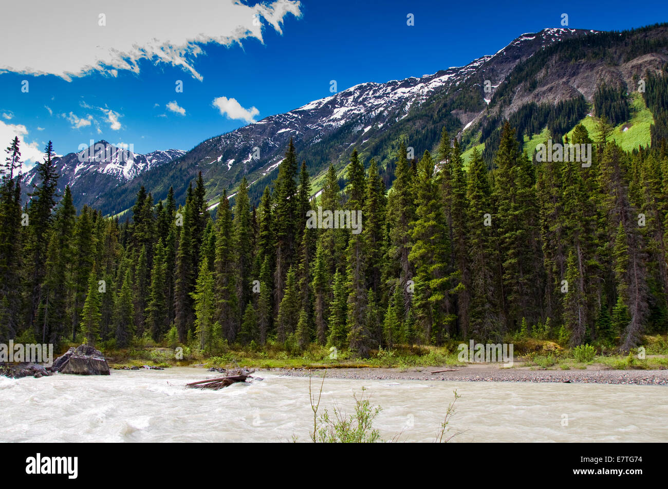 Numa Falls Kootenay National Park British Columbia Canada Stock