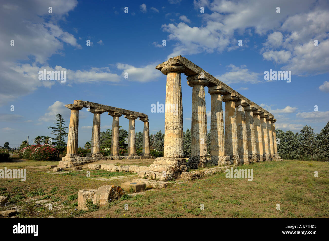 Italy, Basilicata, Metaponto, Tavole Palatine, Greek temple of Hera ...