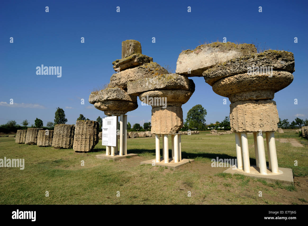 Italy, Basilicata, Metapontum (Metaponto), Greek temple of Hera (temple ...