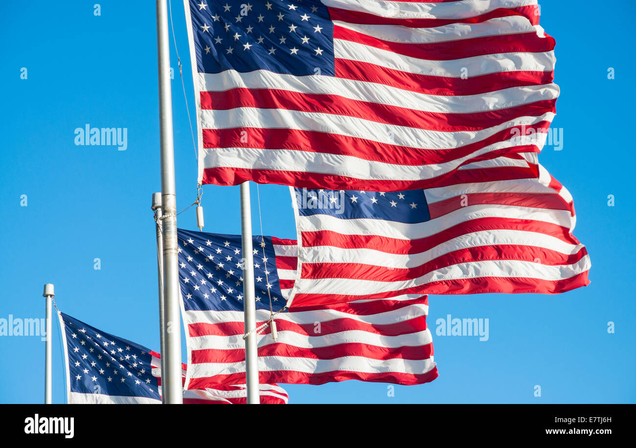 Flags of the United States of America Stock Photo - Alamy