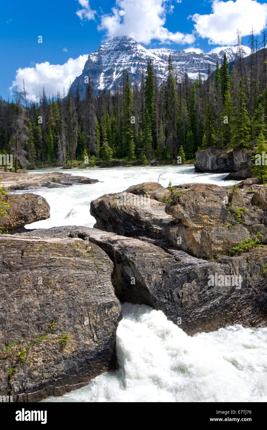 Natural Bridge, Kicking Horse River Valley, Yoho National Park, British ...
