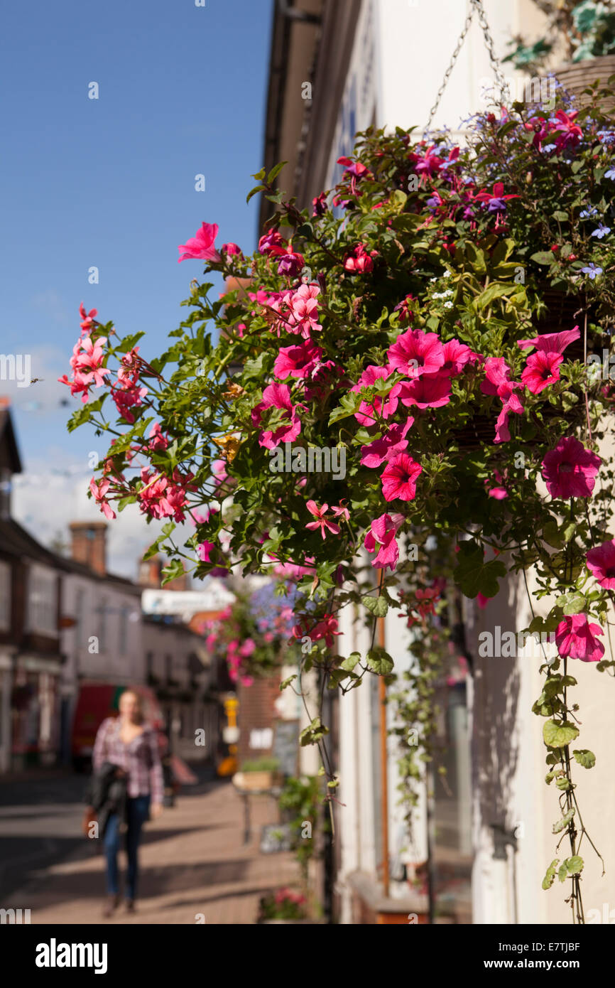 Hanging basket with pink flowers Stock Photo - Alamy