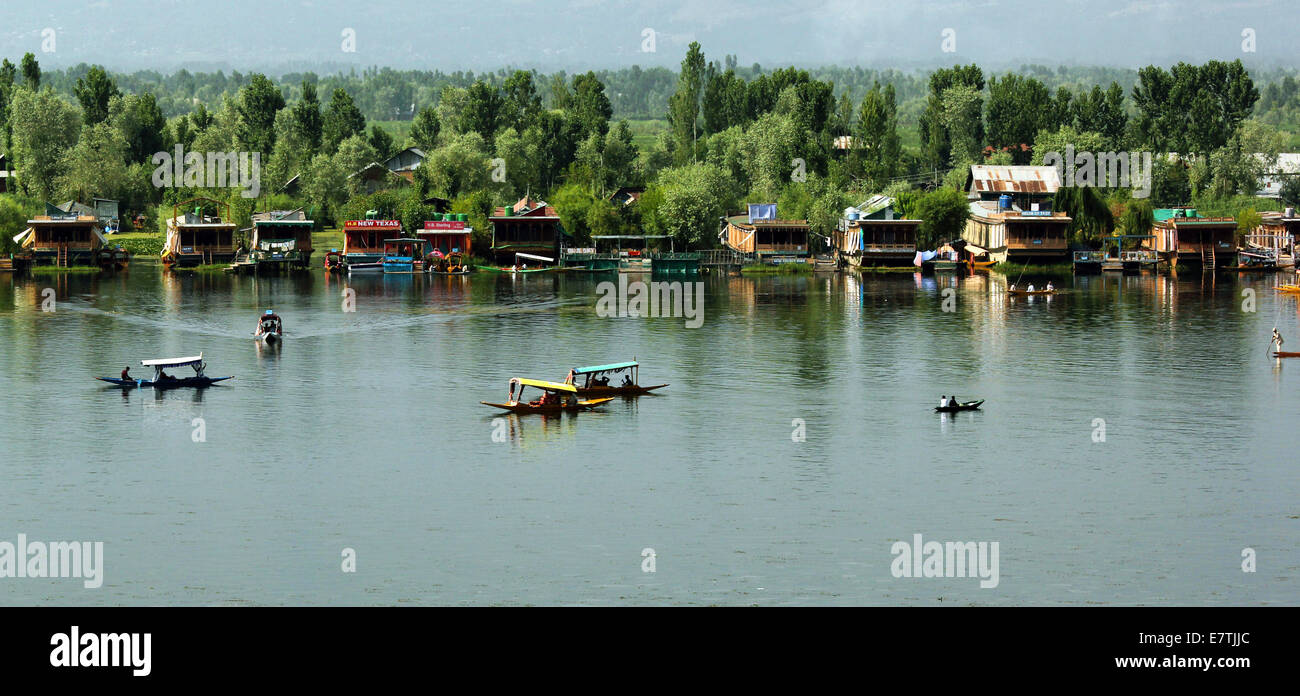 Dal Lake, Srinagar Stock Photo - Alamy