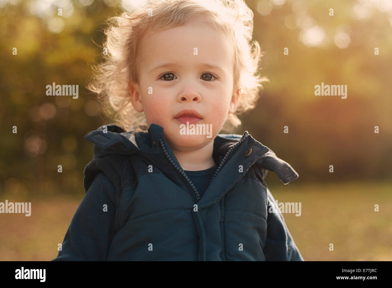 Cute trees in park hi-res stock photography and images - Alamy