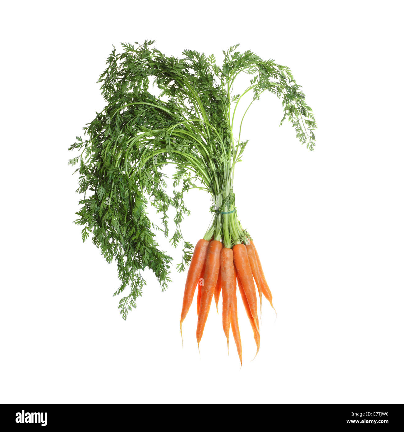 Bunch of carrots with green tops isolated on white background Stock ...