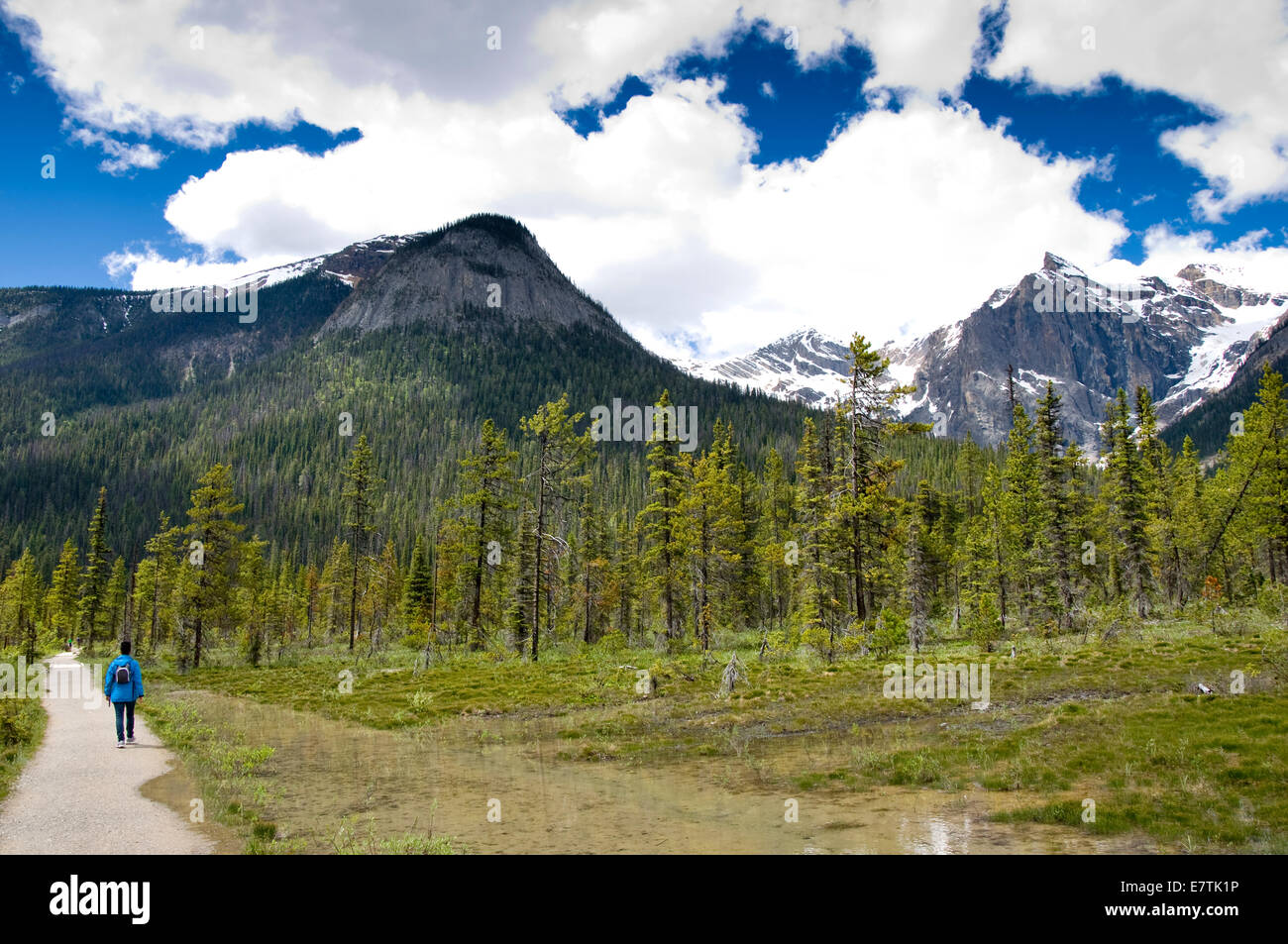 Yoho trail hi-res stock photography and images - Alamy