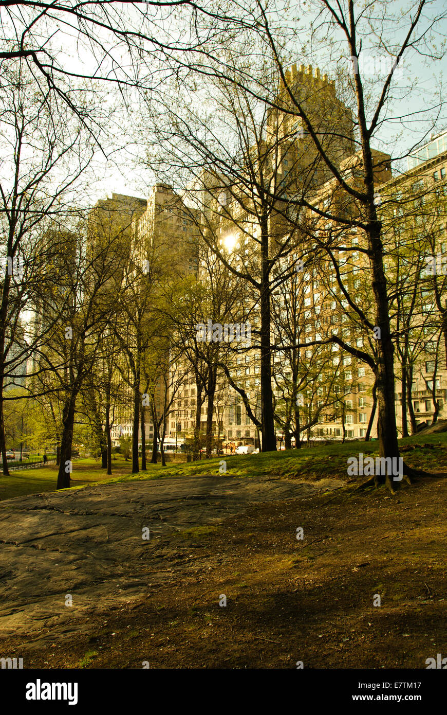 Views of New York City,Icons,Street Life,Parks,Buildings,Areas ...