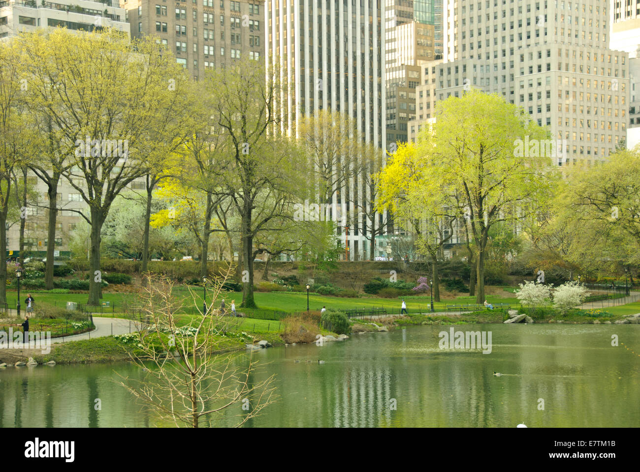 Views of New York City,Icons,Street Life,Parks,Buildings,Areas ...