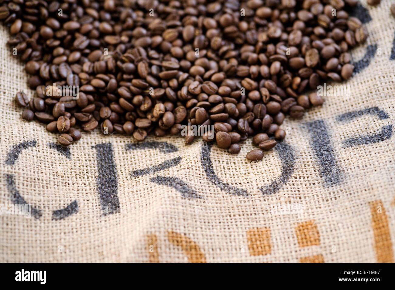 Coffee Beans (Coffea arabica Stock Photo - Alamy