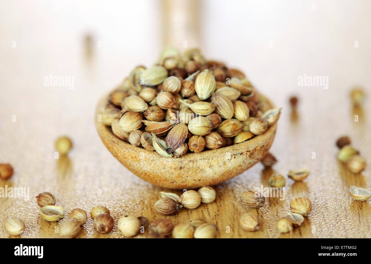 Coriandrum sativum seeds hi-res stock photography and images - Alamy