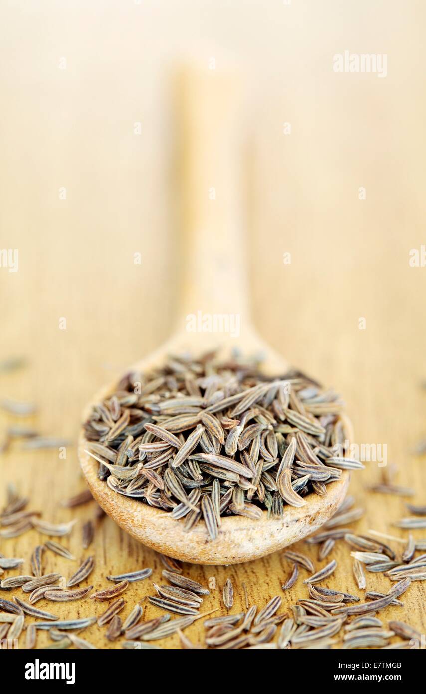 Carum hi-res stock photography and images - Alamy