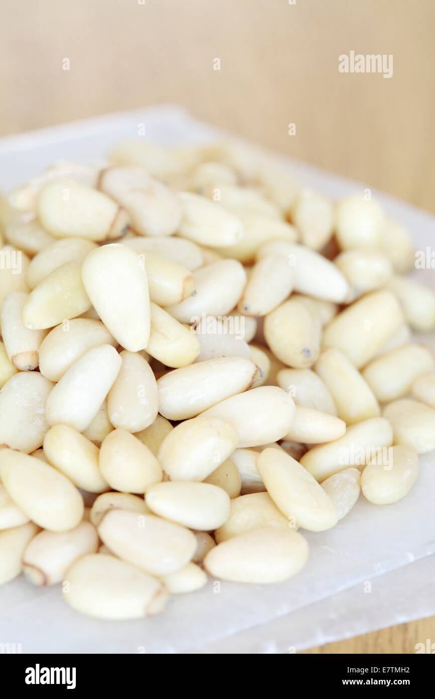 Pine nut pine pinus pinea hi-res stock photography and images - Alamy