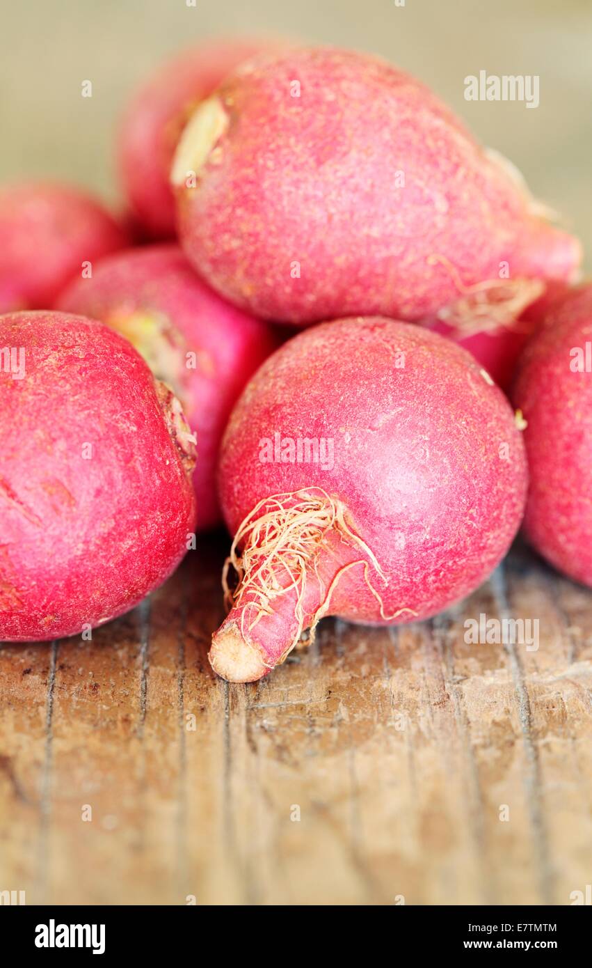 Radish (Raphanus sativus Stock Photo - Alamy