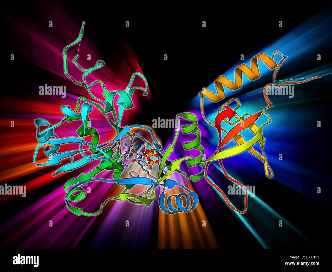 ATP dependent DNA ligase. Molecular model of ATP-dependent DNA ligase ...