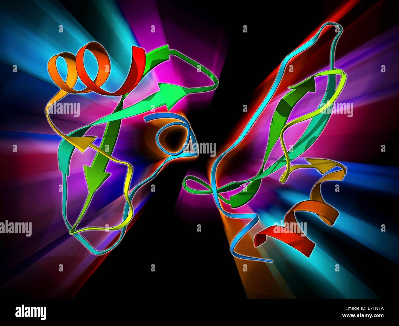 Amyloid precursor protein. Molecular model showing the structure of the ...