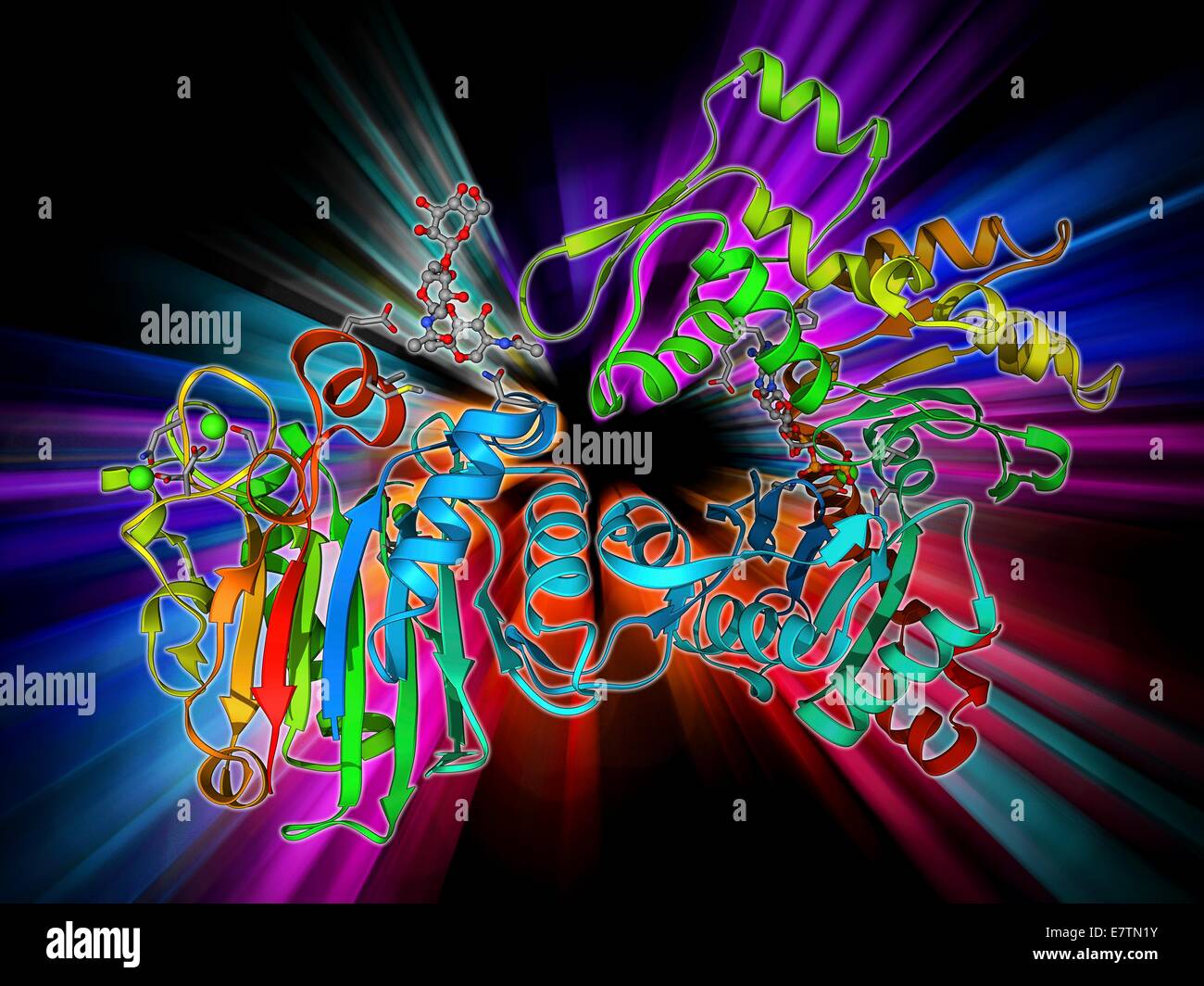 DNase I complex. Molecular model of deoxyribonuclease I complexed with ...