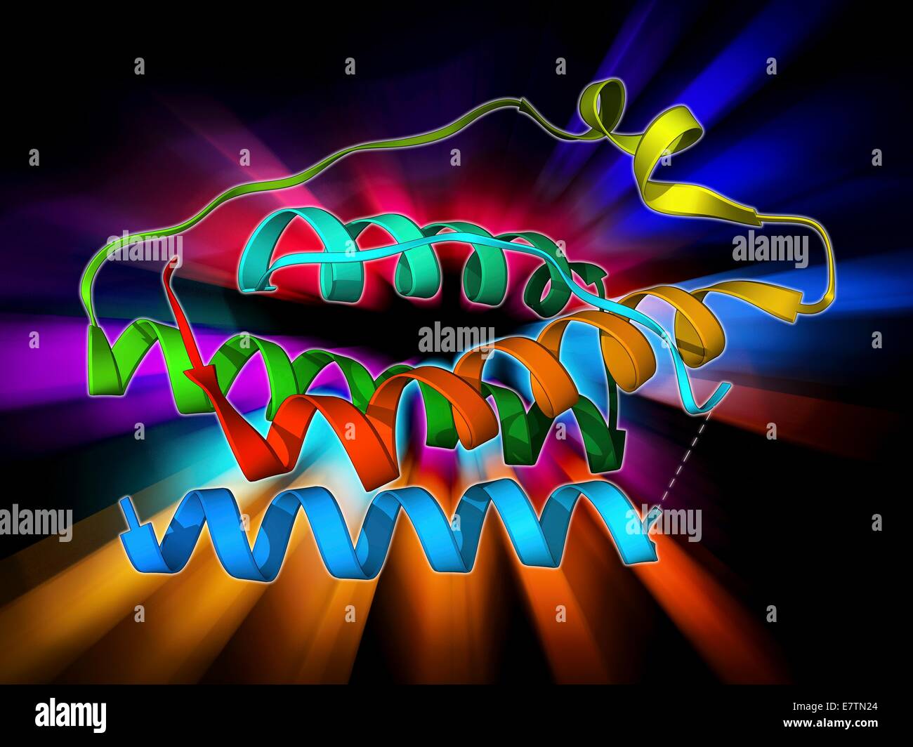 Leptin Molecule Molecular Model Of The Human Hormone Leptin Leptin Is A Protein Produced By
