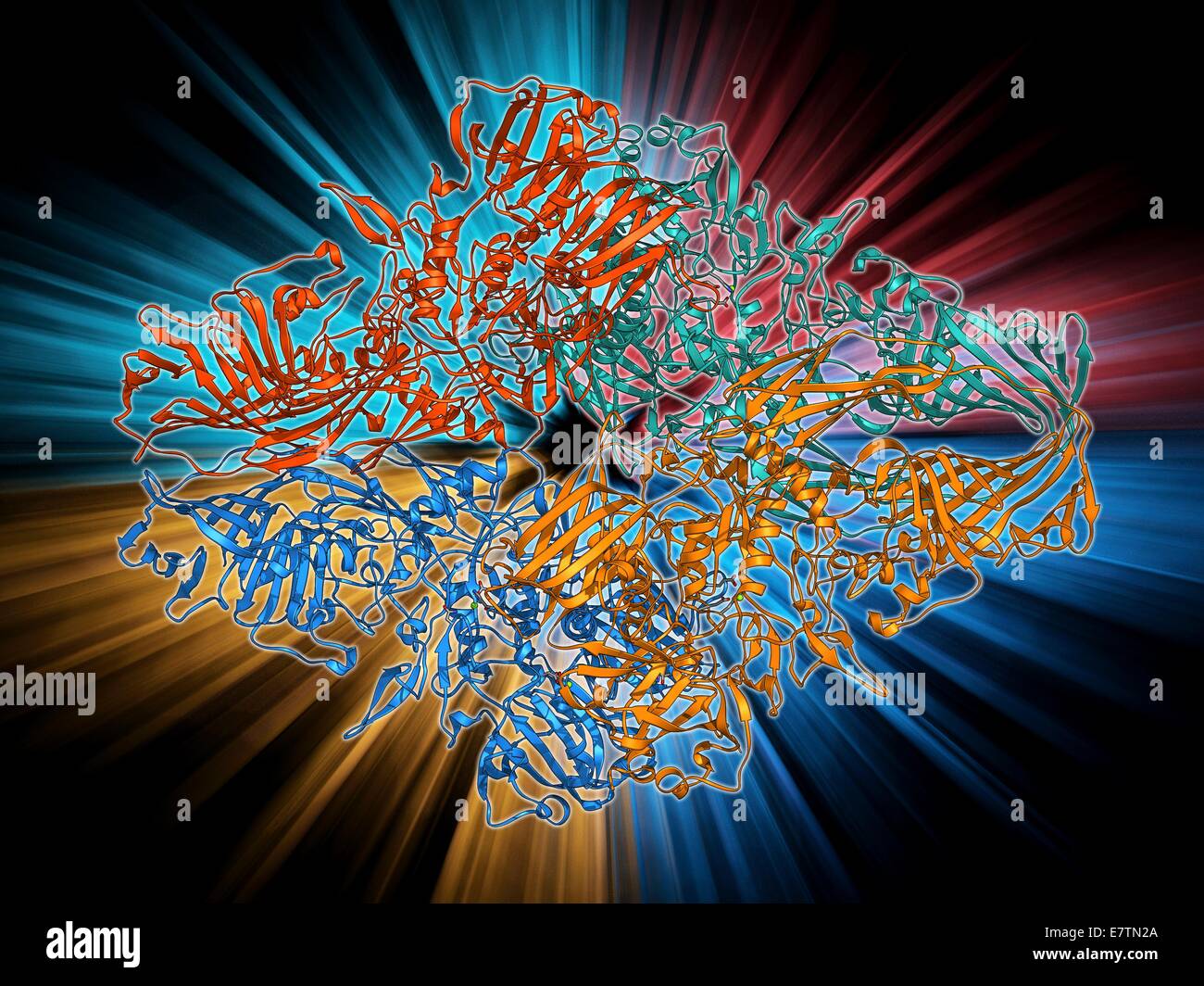 Alpha galactosidase hi-res stock photography and images - Alamy