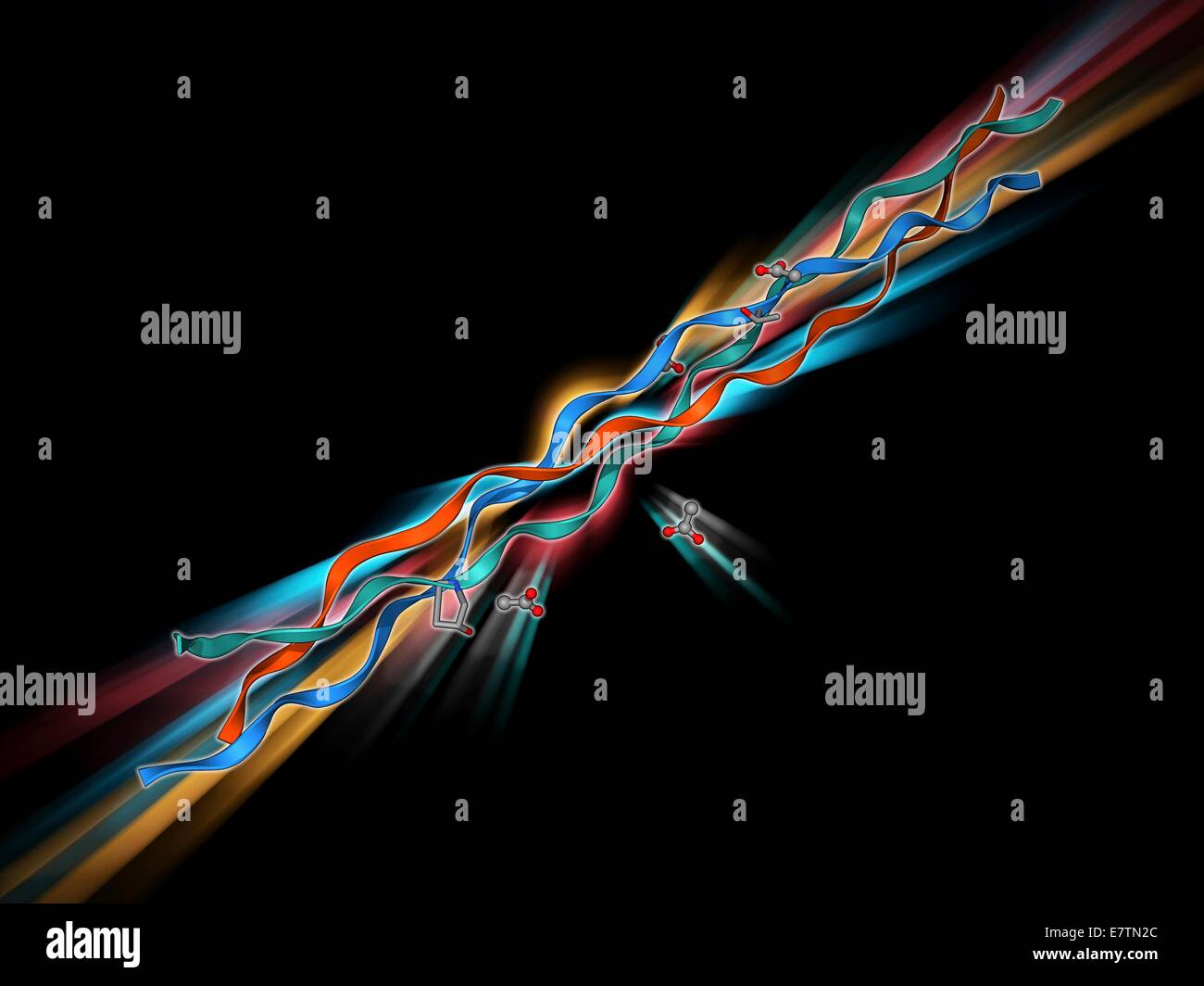 Collagen-like molecule. Molecular model showing the triple helical ...