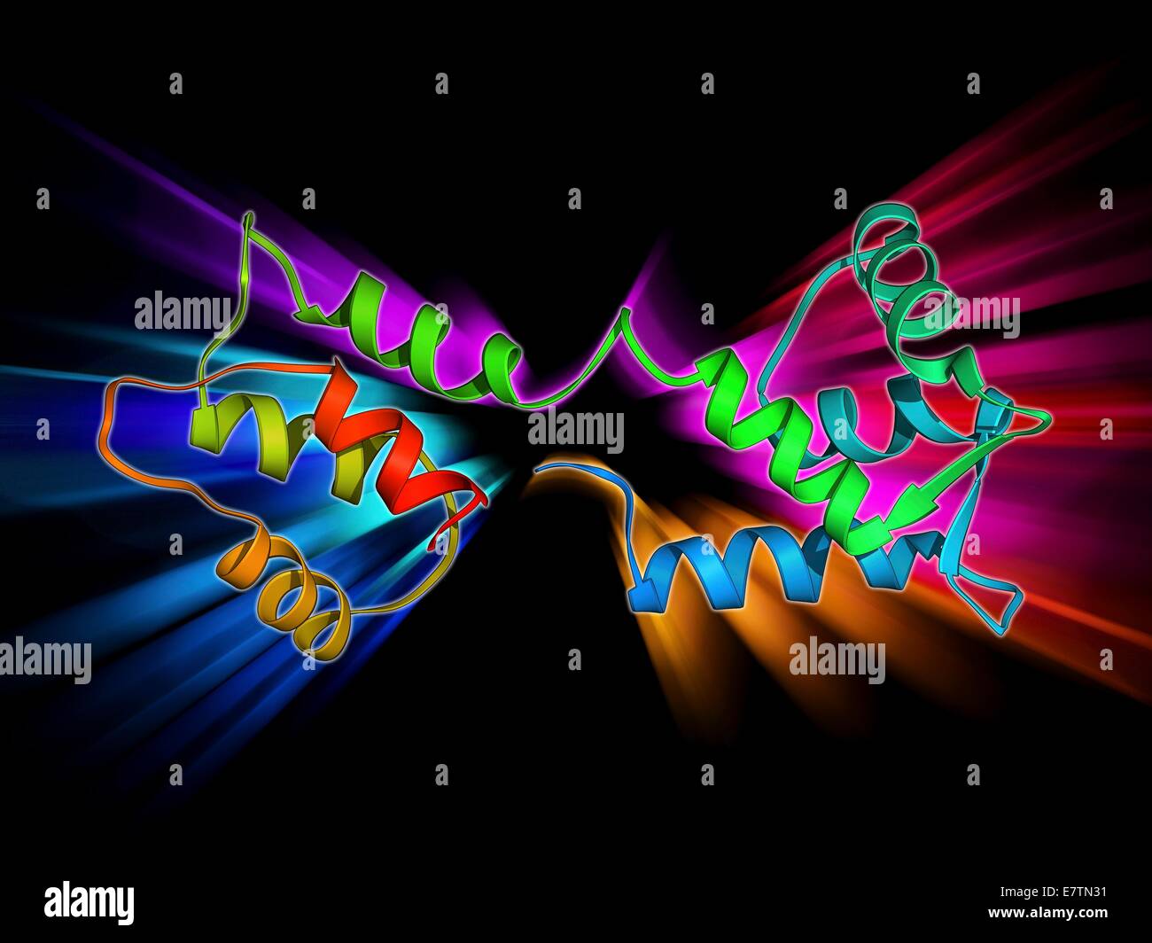 Calcium-binding protein. Molecule model of the calcium-binding protein ...