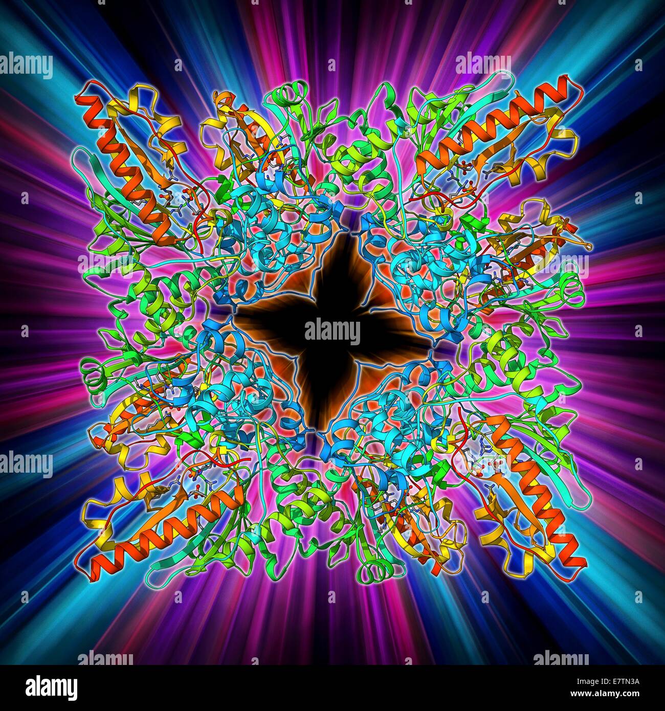 Creatine Phosphate High Resolution Stock Photography and Images - Alamy