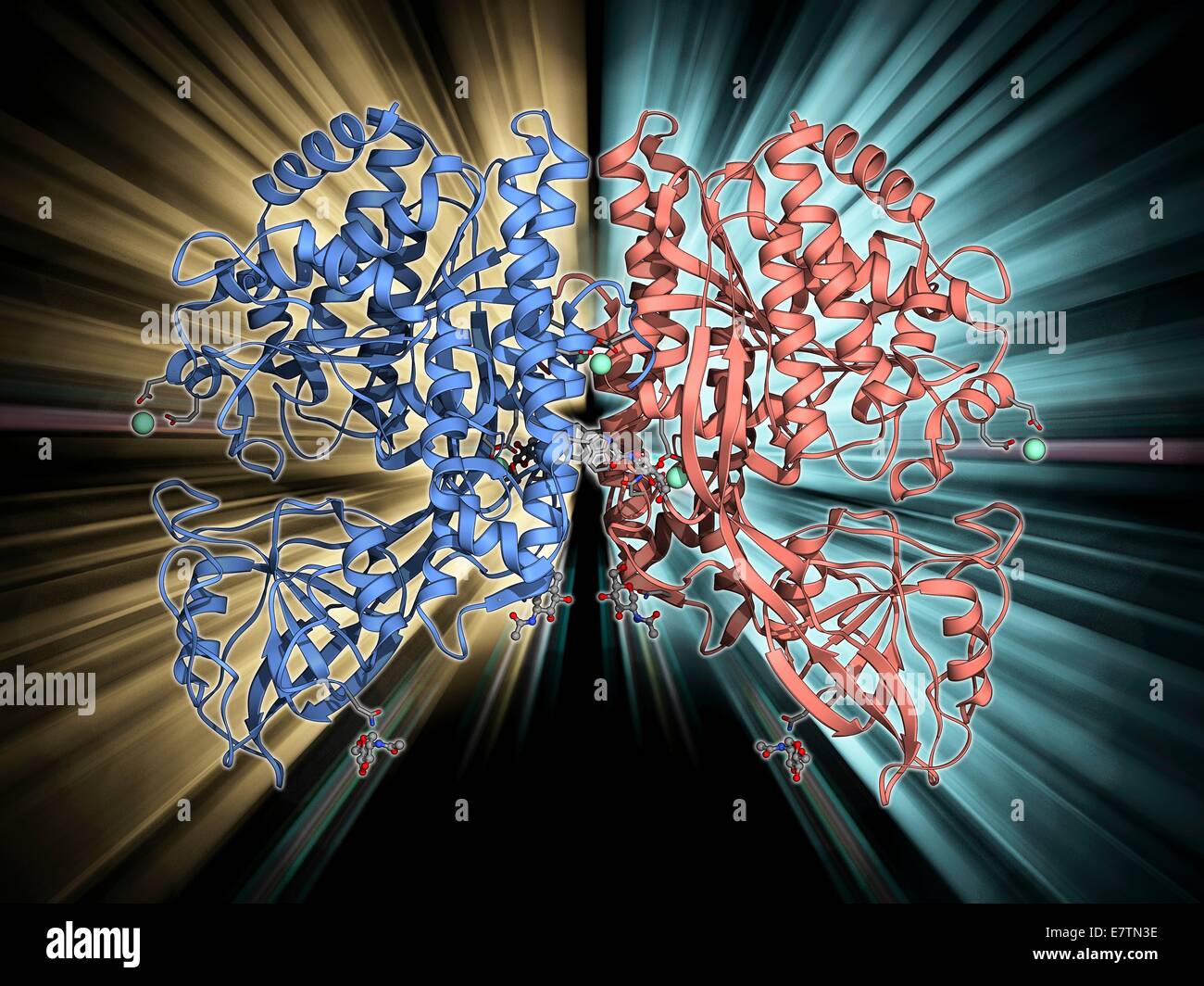 Transferrin binding protein a hi-res stock photography and images - Alamy
