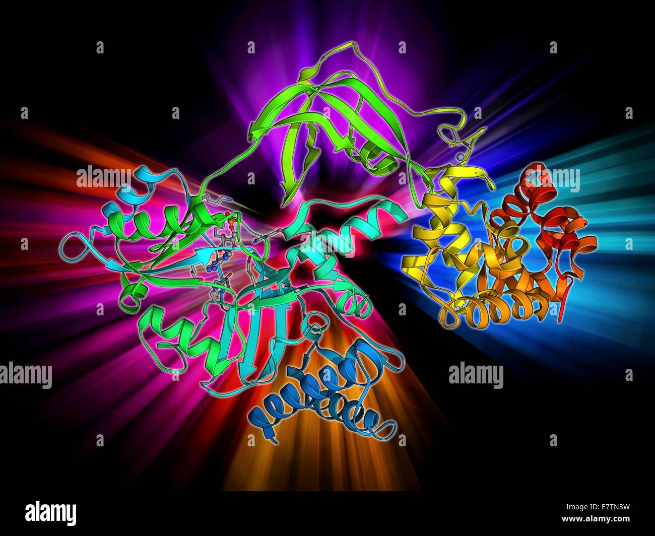 NAD dependent DNA ligase. Molecular model of NAD(+)-dependent DNA ...
