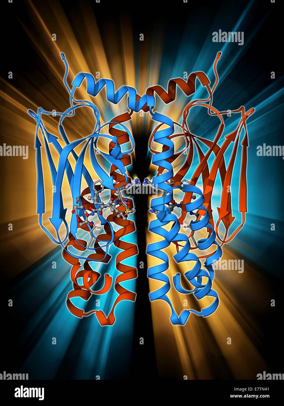 Hsp hi-res stock photography and images - Alamy