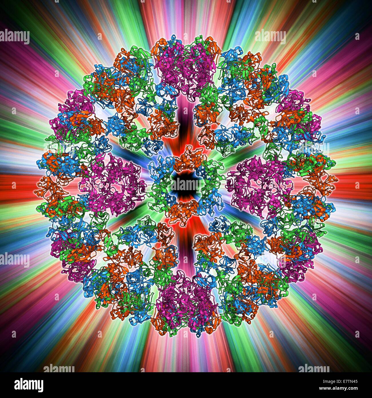 Semliki forest virus capsid, molecular model. This virus, named for the ...