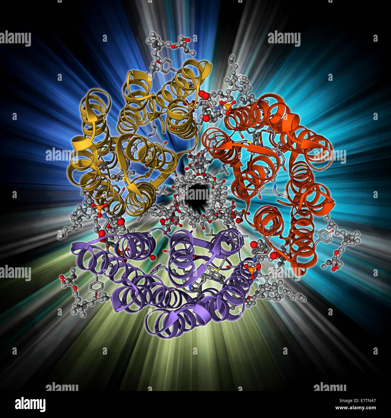 Bacteriorhodopsin Protein Molecular Model Showing The Structure Of