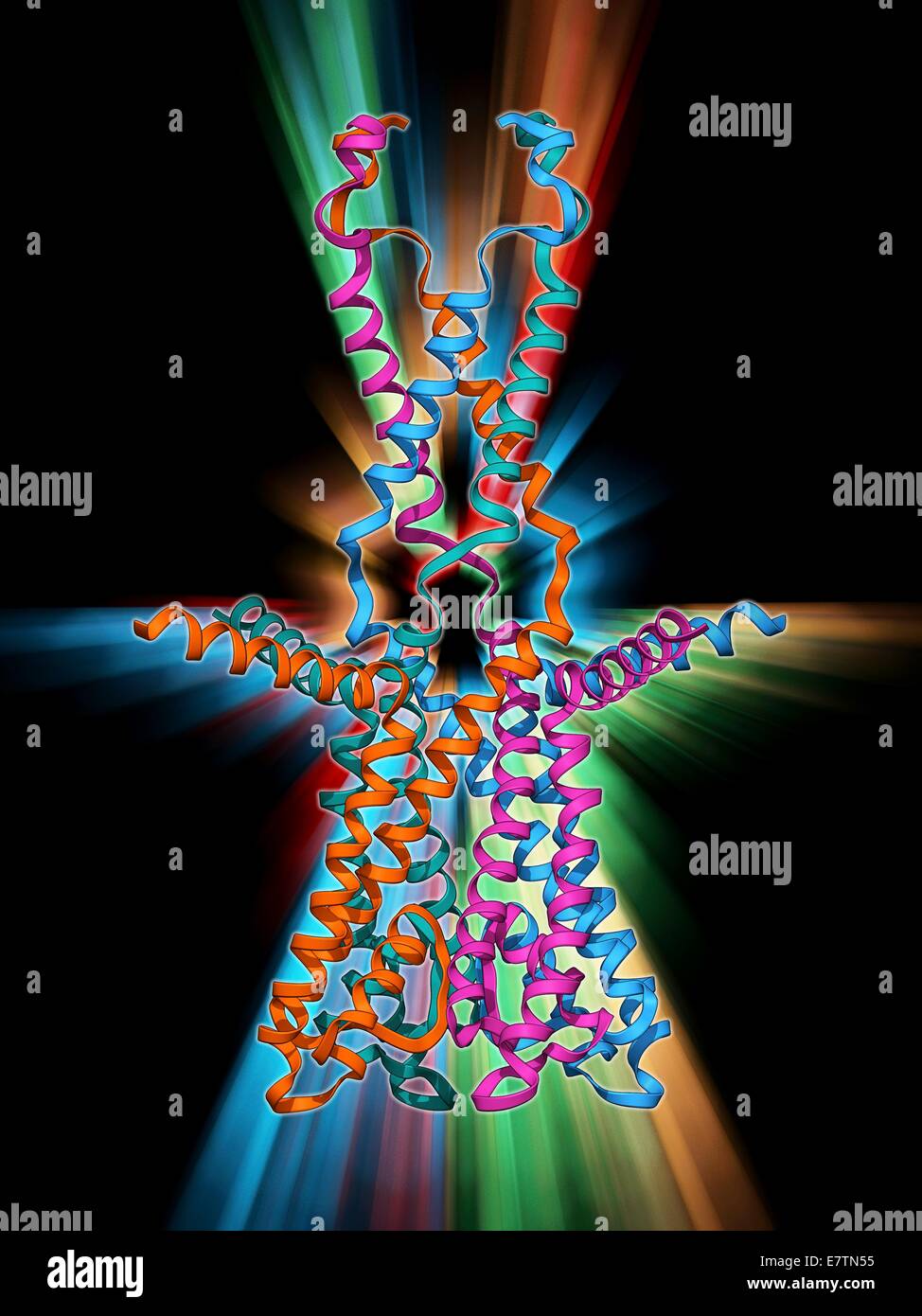 Voltage-gated potassium channel. Molecular model of a voltage-gated ...