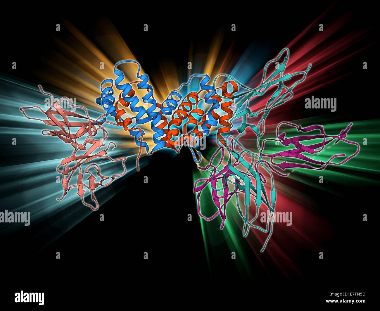 Interferon Gamma Molecular Model Of The Interferon Gamma Dimer