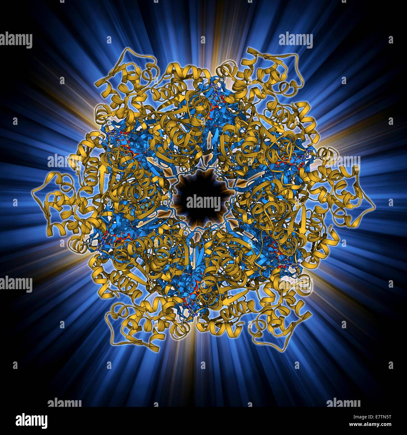 Computer model of a protein hi-res stock photography and images - Alamy