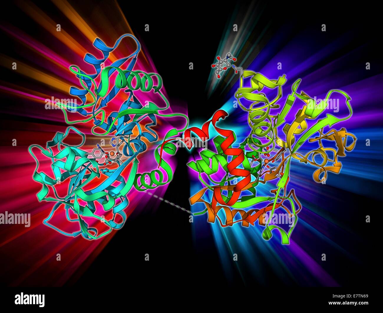 Transferrins hi-res stock photography and images - Alamy