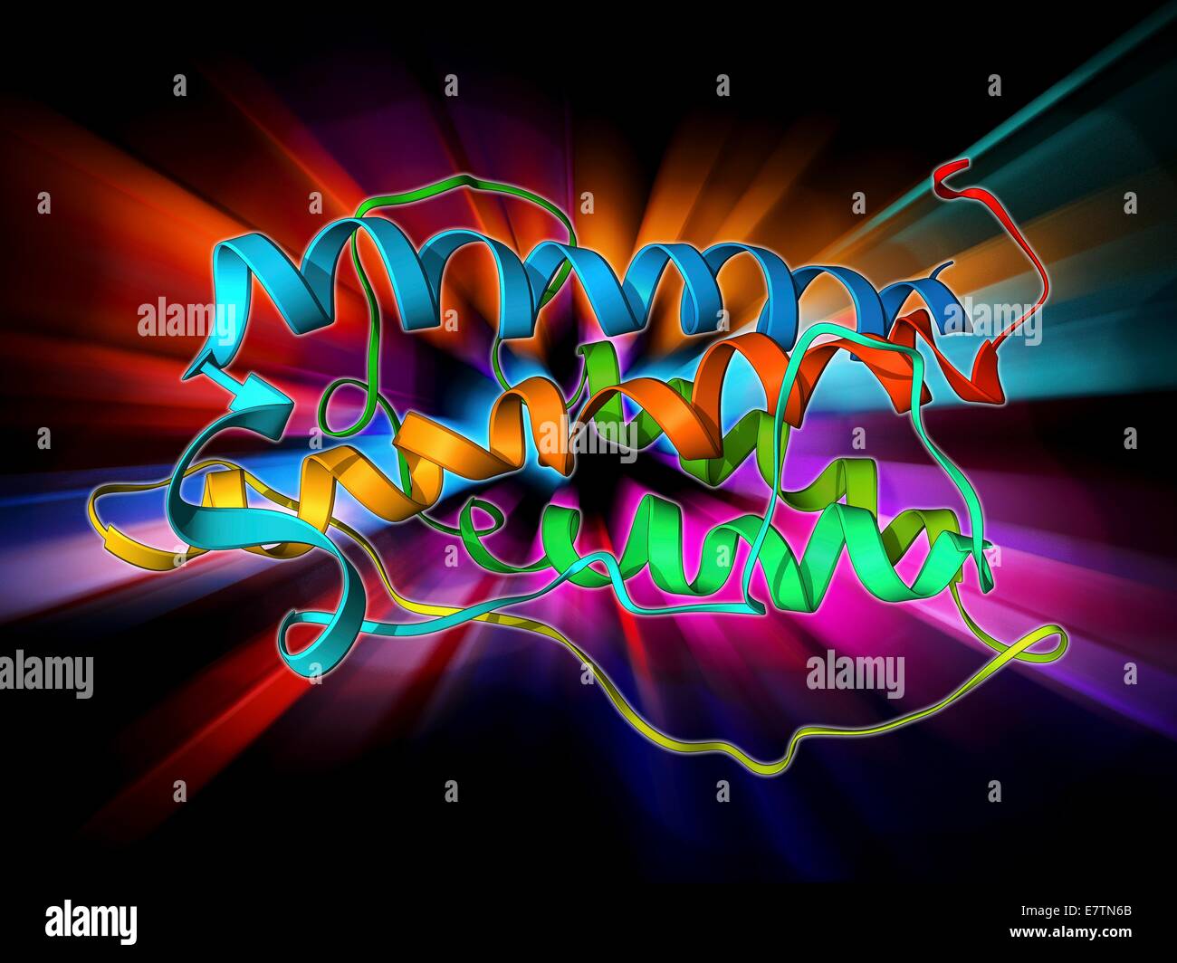 Human growth hormone (hGH), molecular model. hGH is produced in the ...