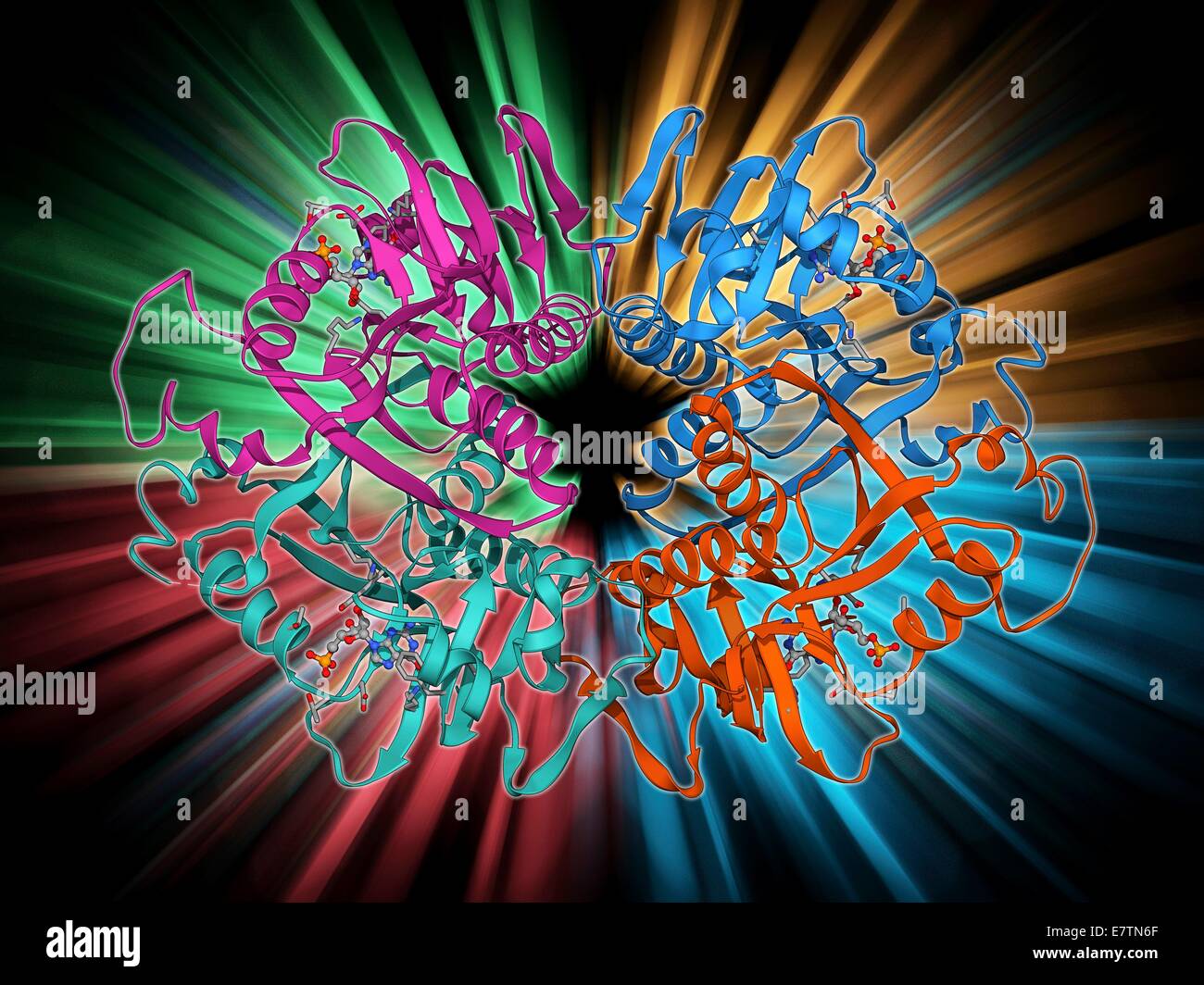 Purine salvage pathway hi-res stock photography and images - Alamy