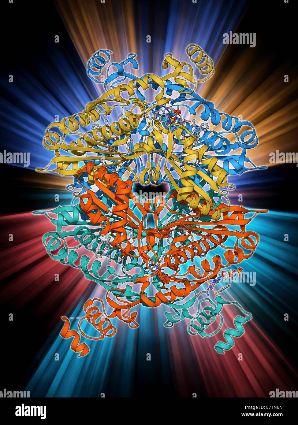 Hmgcr enzyme hi-res stock photography and images - Alamy