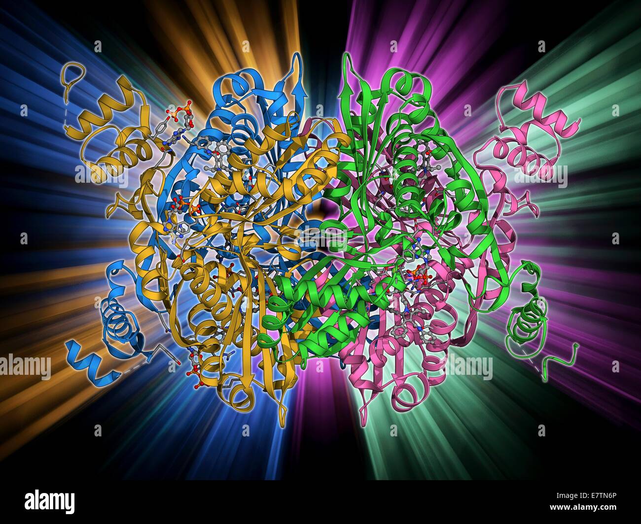 Statin pathway hi-res stock photography and images - Alamy